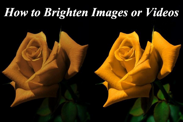 Image Brightener – How to Brighten an Image - MiniTool MovieMaker