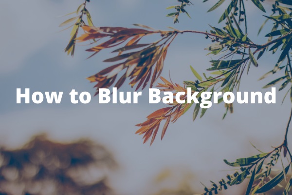 How to Blur Background in Photoshop/Lightroom/Online - MiniTool MovieMaker