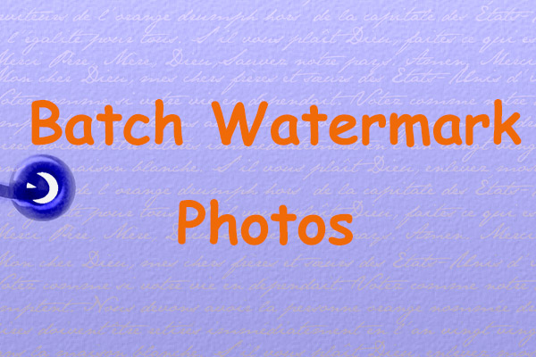 Top 5 Software to Batch Watermark Photos for Windows and Mac - MiniTool ...