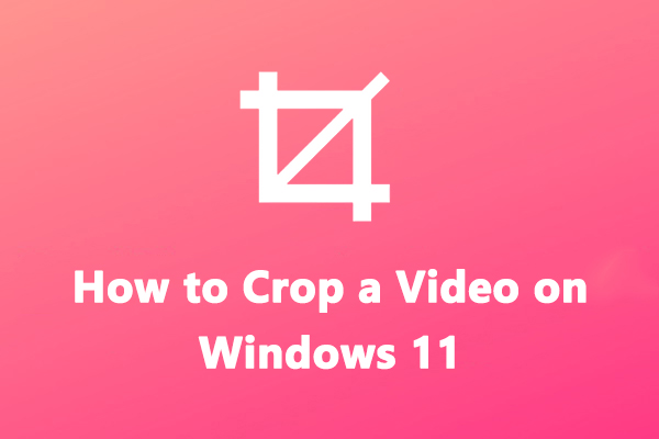 How To Crop On CapCut A Step by Step Guide For You how-to-crop-on-capcut-a-step-by-step-guide-for-you