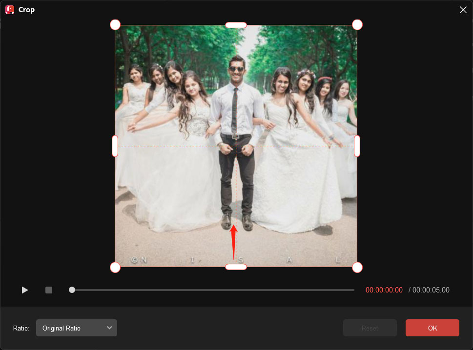 How to Remove Watermark from Photo in Various Ways (Free/Paid)?