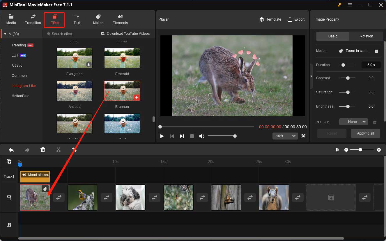 How to Make a Picture Move with Animation or Motion Effects