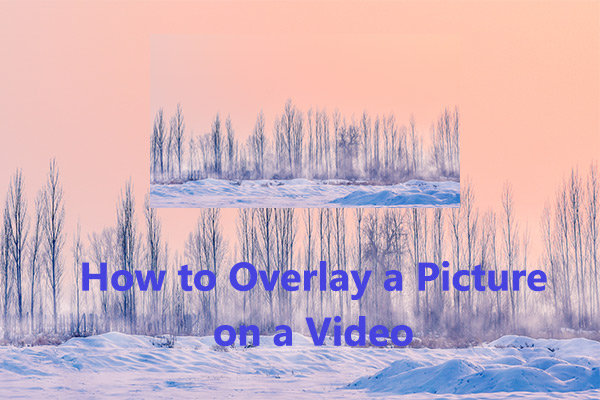 Add Image to Video: How to Overlay a Picture on a Video