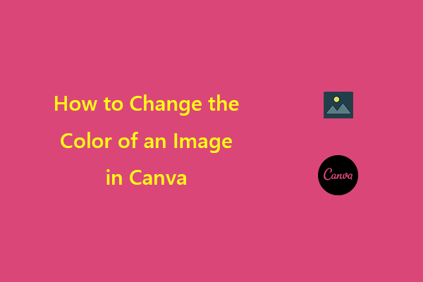 How to Change the Color of an Image in Canva? [Simple Guide]