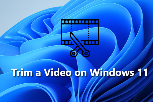 Discover Professional Tools to Trim Video on Windows 11