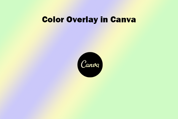 Next-Level Design Guide to Do a Color Overlay in Canva