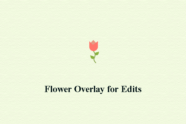 The Best Way to Add the Flower Overlay for Edits in a Video