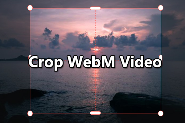 How to Crop WebM Video Files on PC & Online