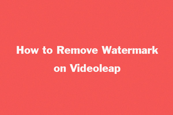 How to Get Rid of Videoleap Watermark in Different Ways?
