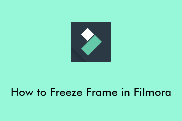 How to Freeze Frame in Wondershare Filmora Effortlessly?