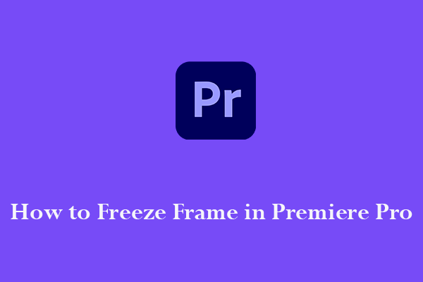 How to Freeze Frame in Premiere Pro? Here Are 4 Ways for You!
