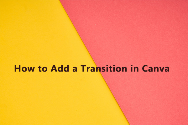 How to Add Transition Between Two Clips in Canva & Its Alternative