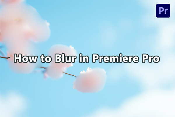 How to Blur Moving Objects/Faces/Background in Premiere Pro