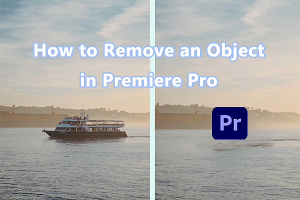 How To Remove An Object In Premiere Pro 2 Methods