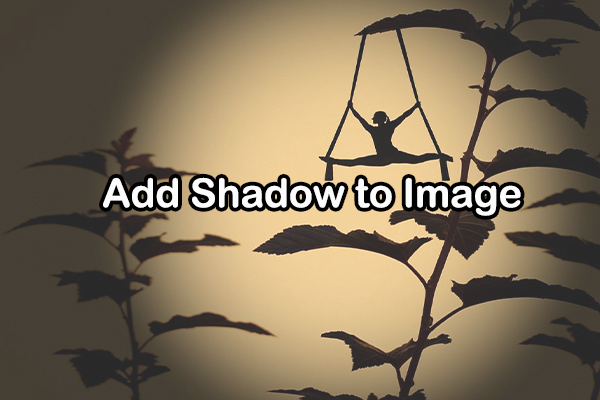 Enhance Your Designs: How to Add Shadow to Image