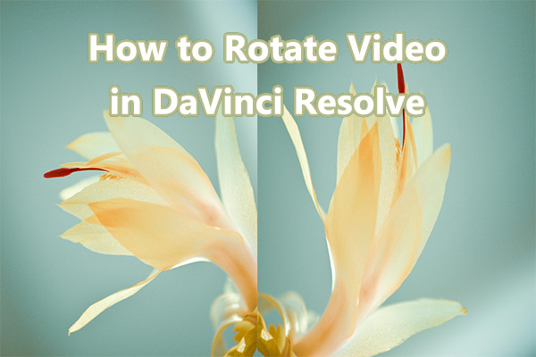 How to Rotate Video in DaVinci Resolve [Complete Guide]