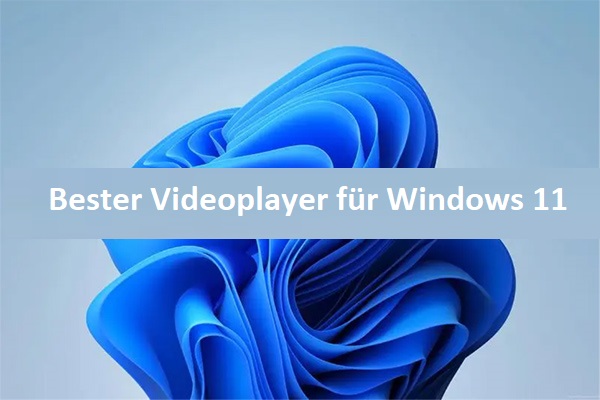 Die 6 besten Videoplayer zum Abspielen von Videos Windows 11