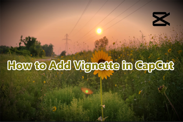 How to Add Vignette Effects to Video in CapCut and More