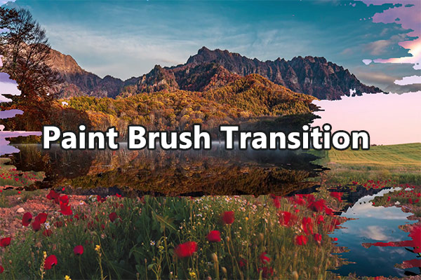 Best 2 Methods to Add Paint Brush Transition to Videos