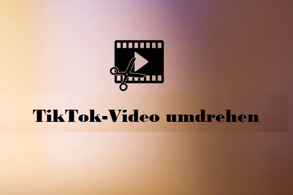 TikTok-Video auf verschiedene Arten umdrehen – Effektiv