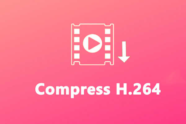 Professional Tools for Compressing H264 Video Files