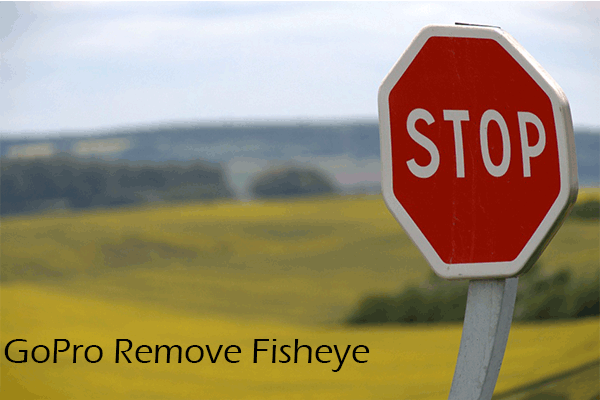 GoPro Remove Fisheye | 2 Easy Ways to Remove Fisheye from GoPro