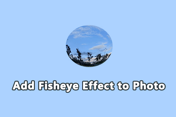 Transform Your Photos with a Fisheye Effect
