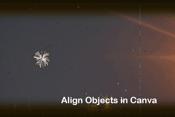 Simple Operations to Align Objects in Canva