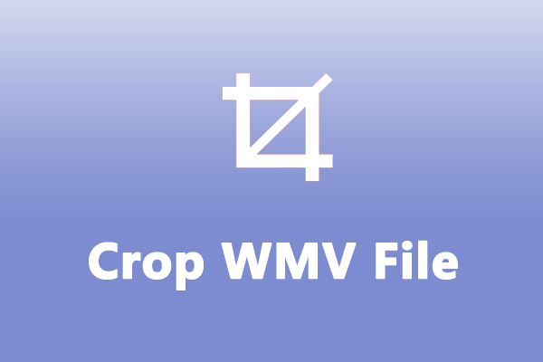 The Ultimate Guide to Cropping WMV Files for Beginners
