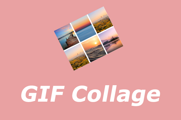 Discover the Best GIF Collage Makers to Combine Your GIF
