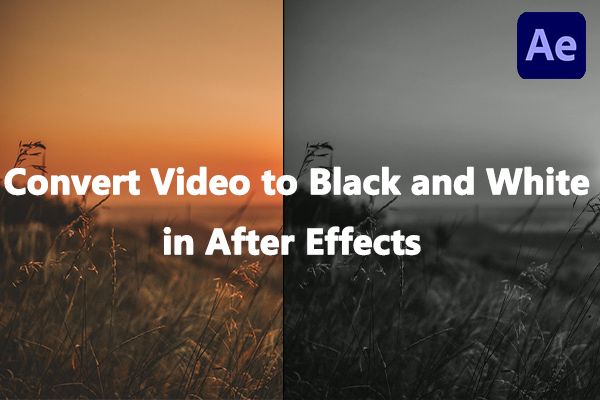 Transform Your Video: Black and White Effects in After Effects