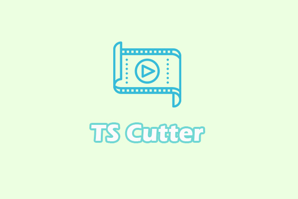 A Complete Guide for Beginners: Discover the 4 Best TS Cutters