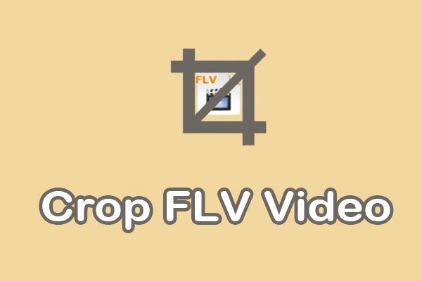 Transform Your FLV Video with the Art of Cropping