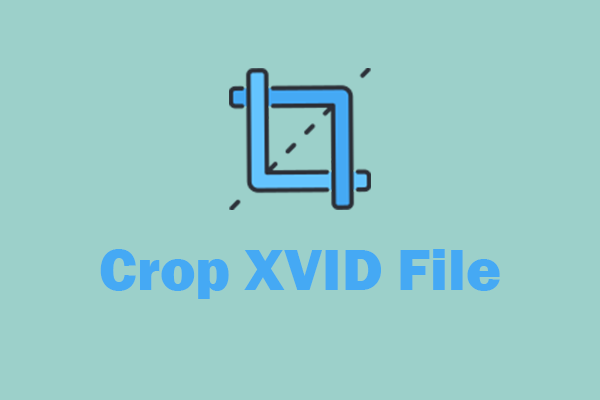 How to Crop XVID File on Windows? Three Expert Methods Here!