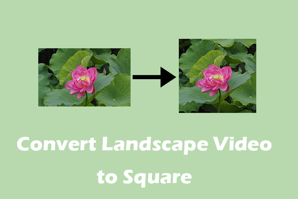 Best 3 Methods to Convert Landscape Video to Square