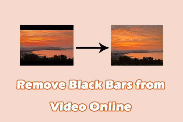 2 Best Ways to Remove Black Bars from Video Online