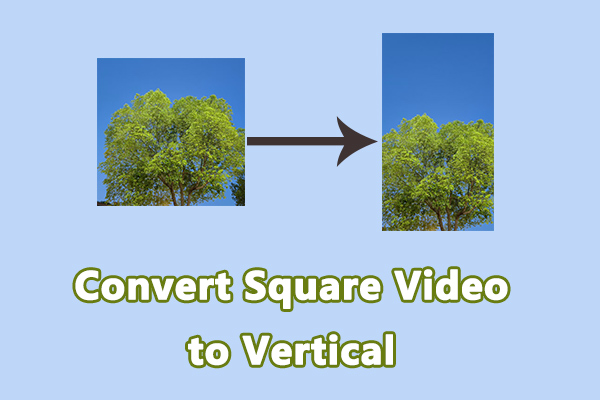 2 Easy Ways to Convert Square Video to Vertical on Windows