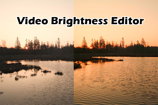 Best 5 Video Brightness Editor Apps to Brighten Your Content