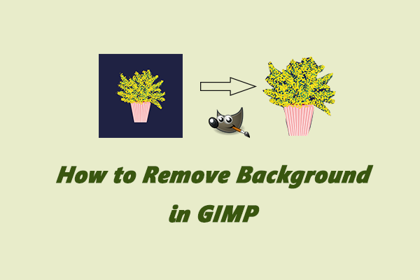 Pro Guide on How to Remove Background in GIMP: 4 Methods