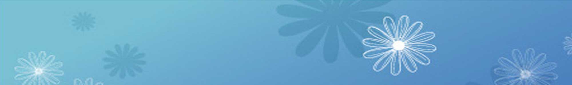 Windows Media Player Skins – Change the Skin