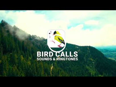 8 Best Ringtone Apps to Create Perfect Ringtones Easily