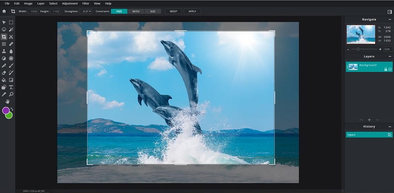 How to Crop Images at Ease (Windows/Mac/Online)