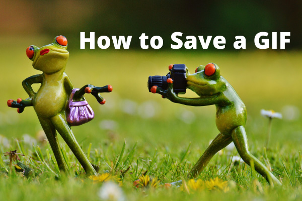 How To Save A GIF From GIPHY Twitter Pixiv Google