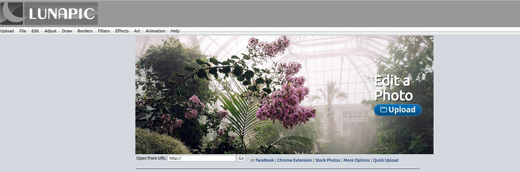Pixelate Image – 3 Ways to Convert Image to Pixel Art - MiniTool MovieMaker