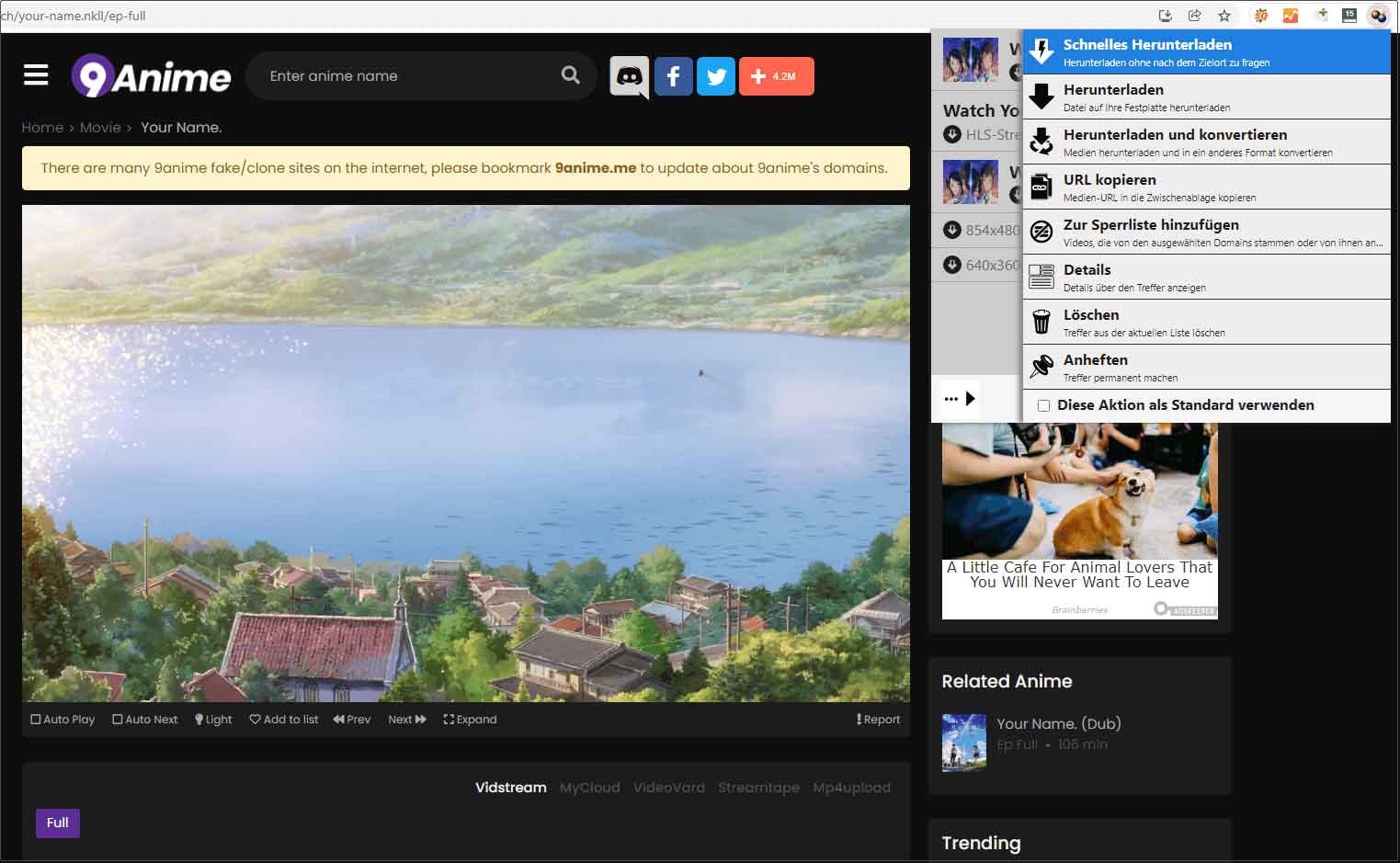 Die ultimative Anleitung - Wie man kostenlos von 9Anime herunterlädt ...