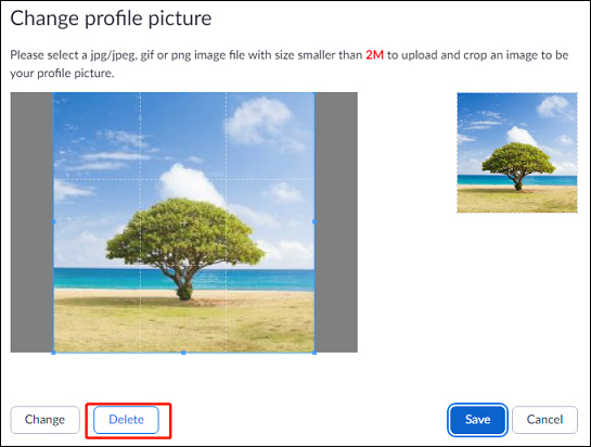 Everything You Should Know About Zoom Profile Picture - MiniTool MovieMaker